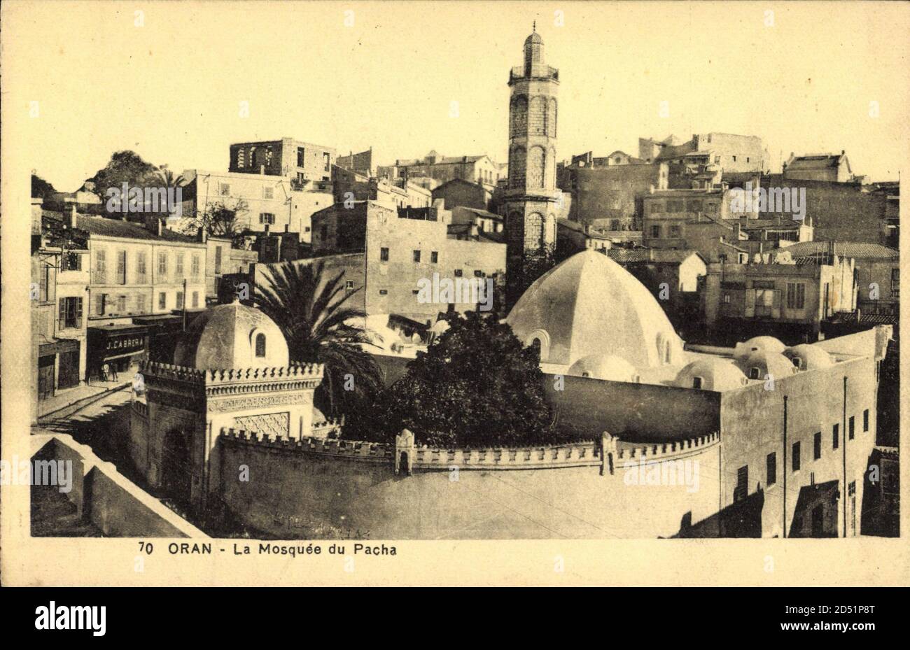 Oran Algerien, la Mosquée du Pacha, Kuppel, Palme | usage worldwide ...