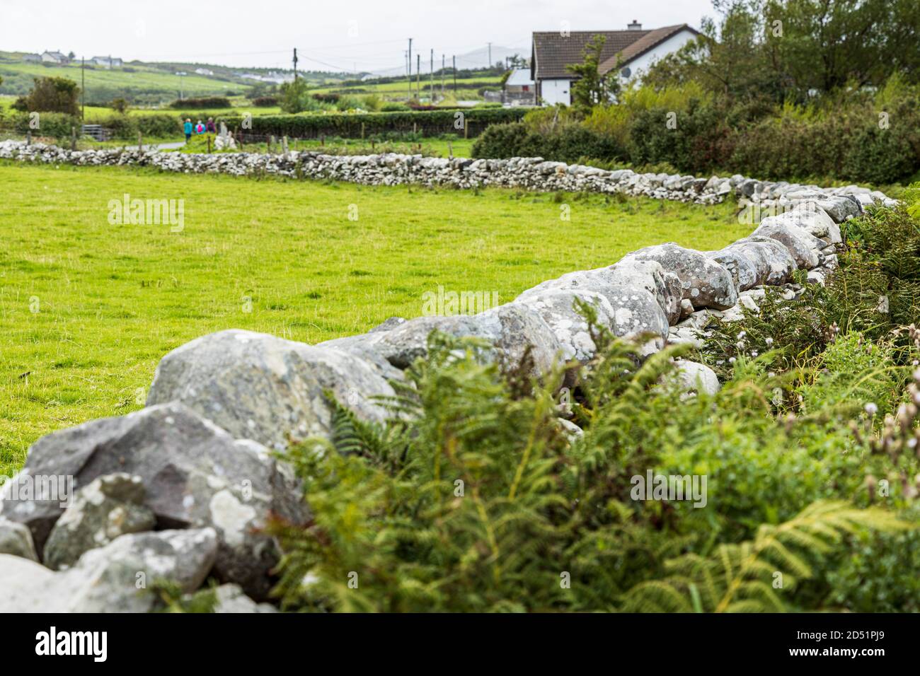 Dry stone walls and fields along the Killeen loop walks near Louisburgh ...