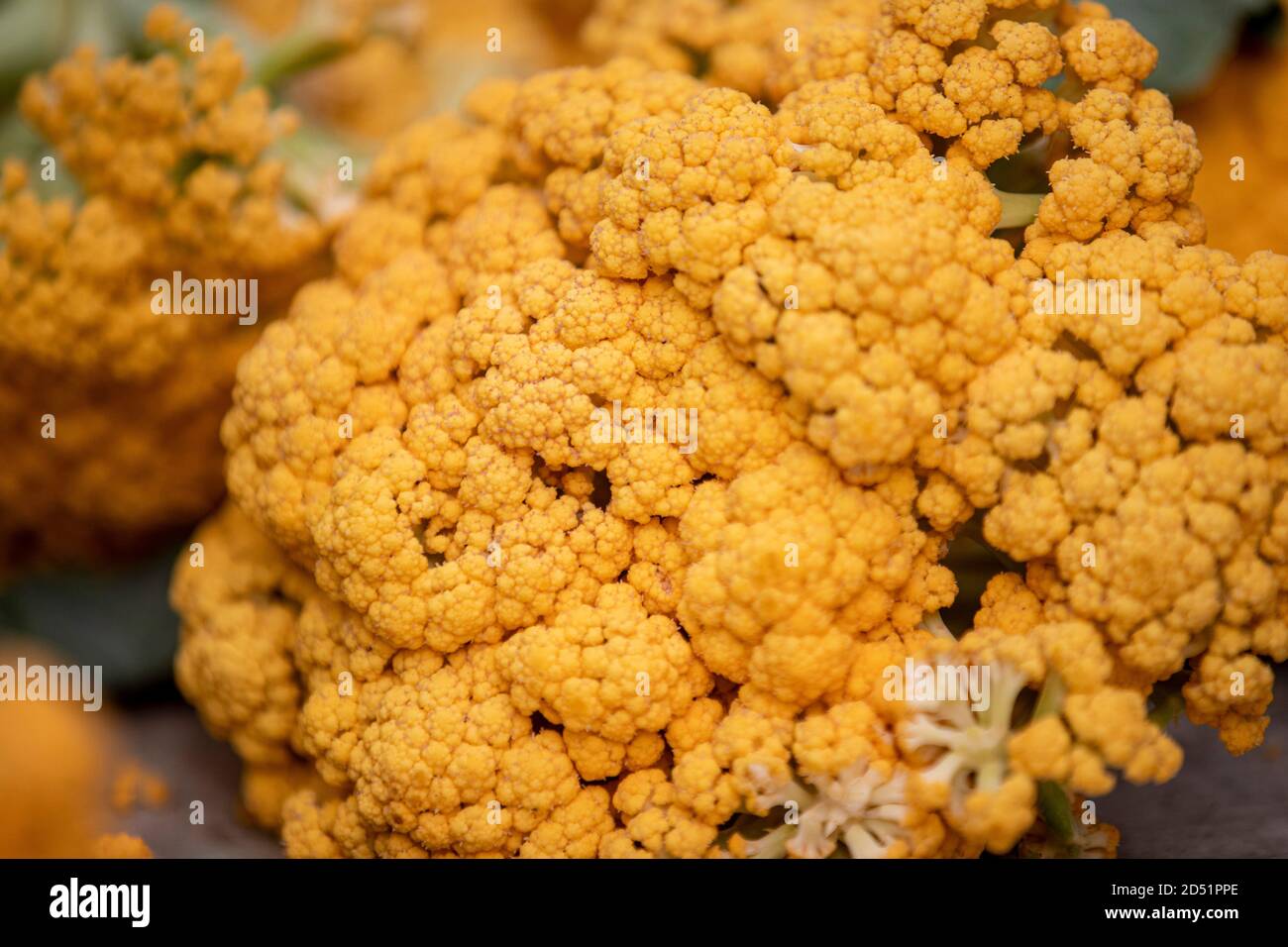 Yellow cauliflower on display at a farmers market Stock Photo - Alamy