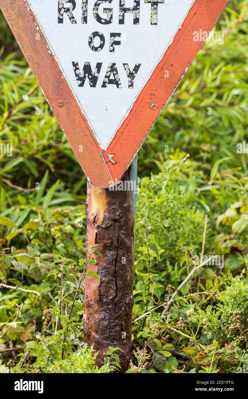 Severe weather hi-res stock photography and images - Alamy