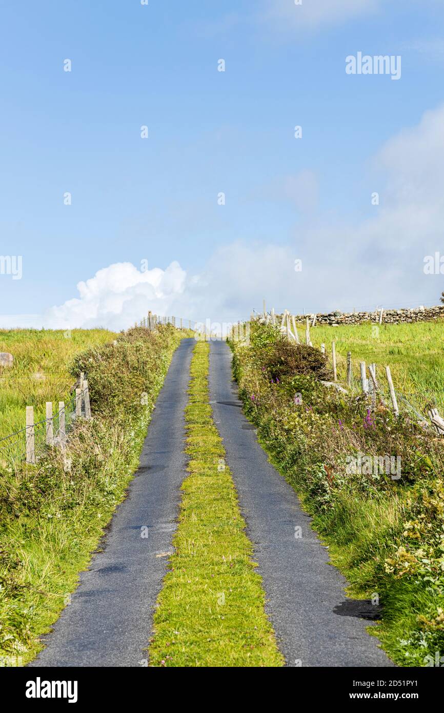Grass growing along the middle hi-res stock photography and images - Alamy