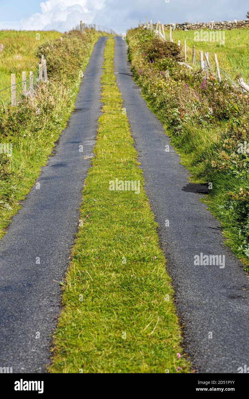 Single track road with grass growing along the middle on the Killeen ...