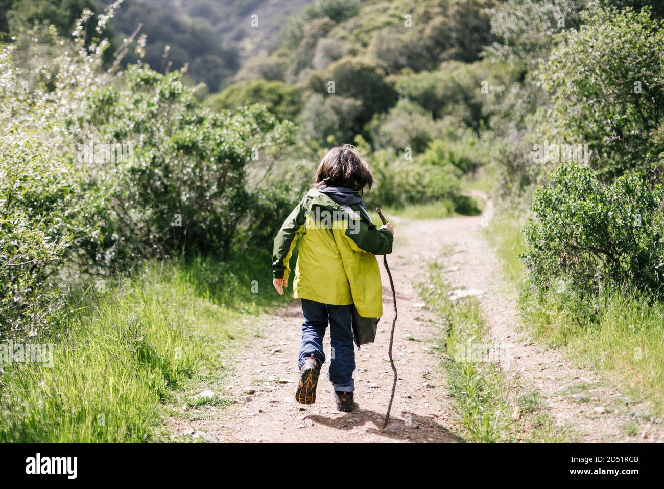Back view walking stick hi-res stock photography and images - Alamy
