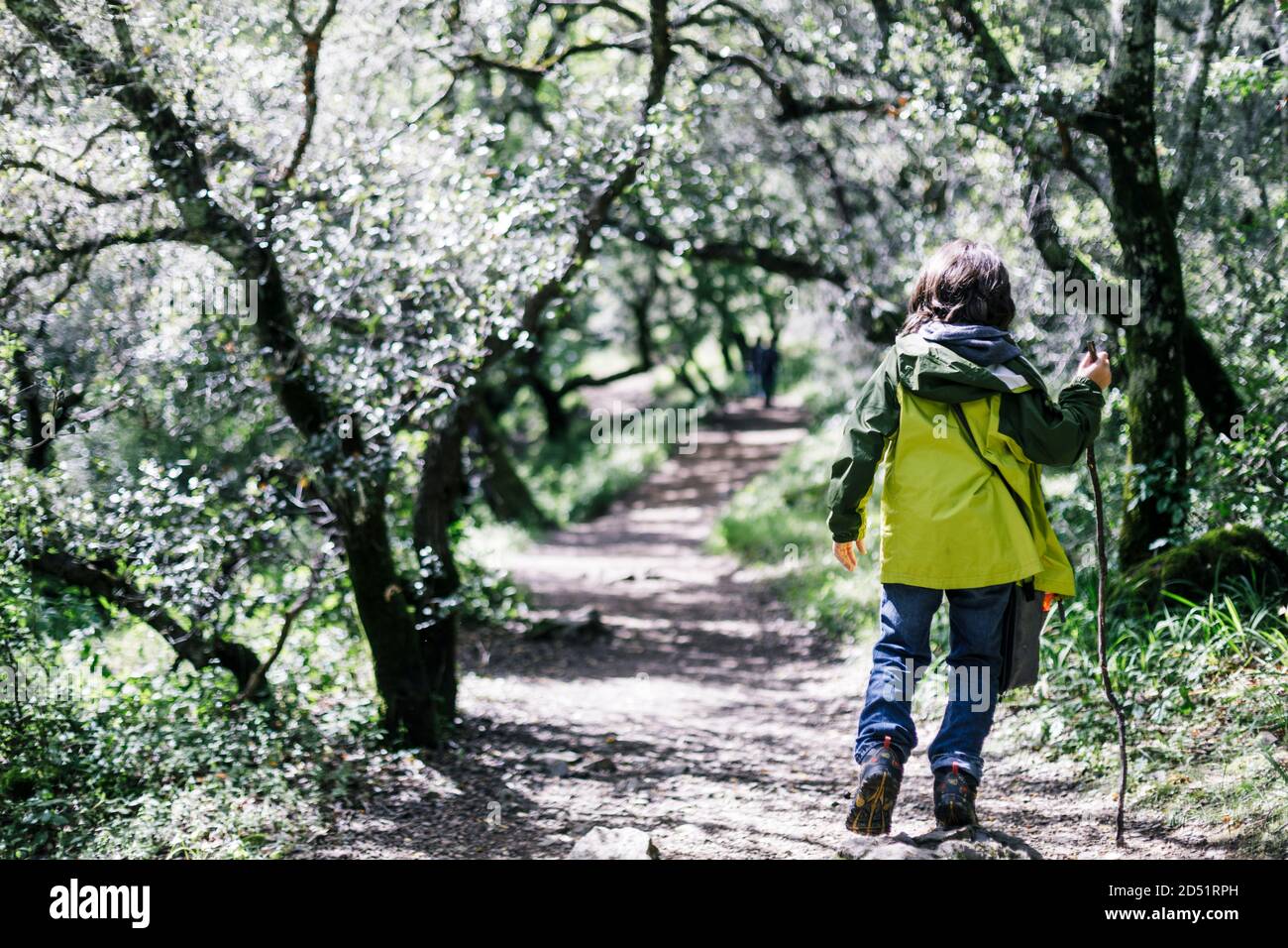 One child walking alone forest hi-res stock photography and images - Alamy