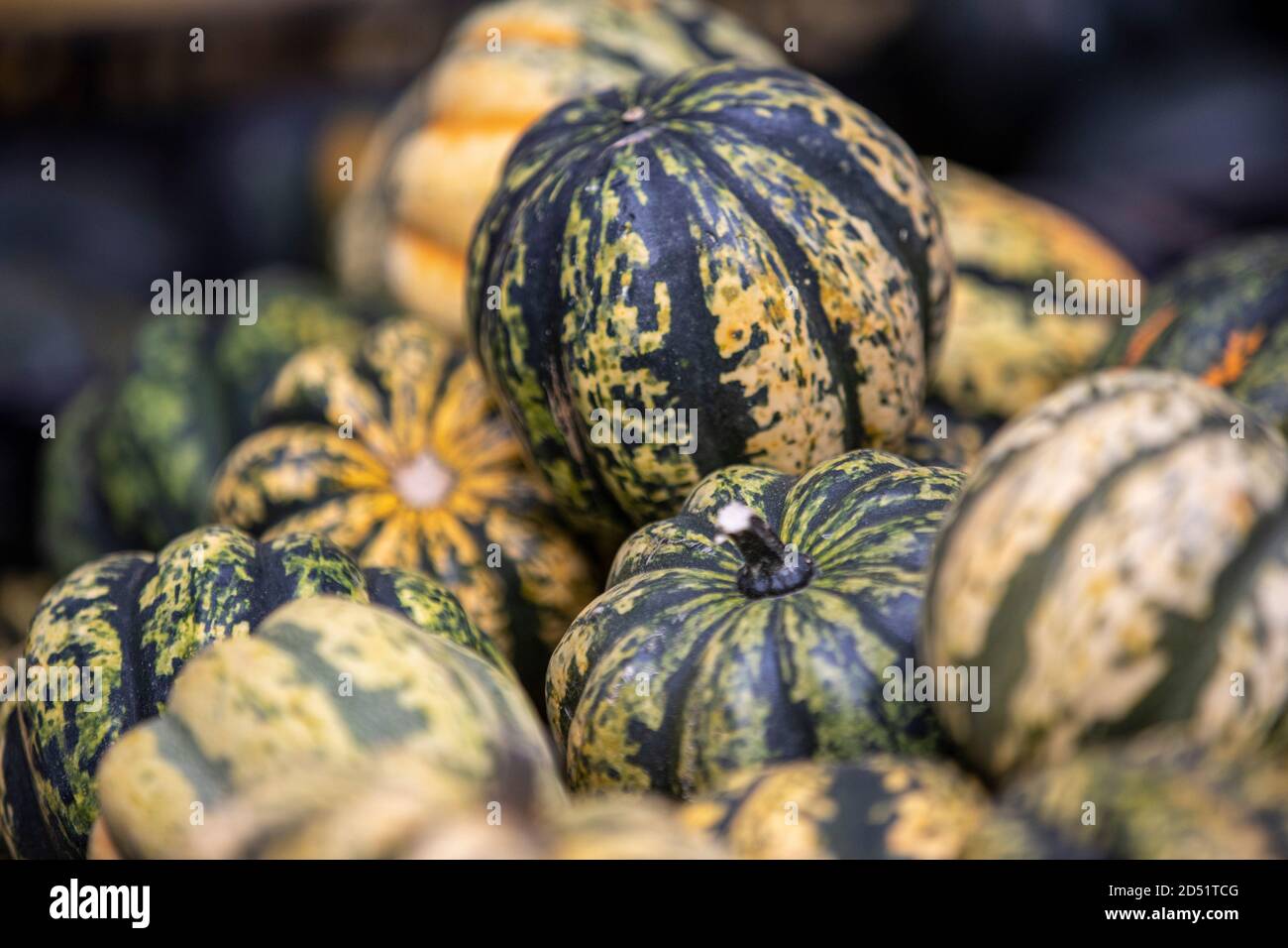 Squash on display at a farmers market Stock Photo - Alamy