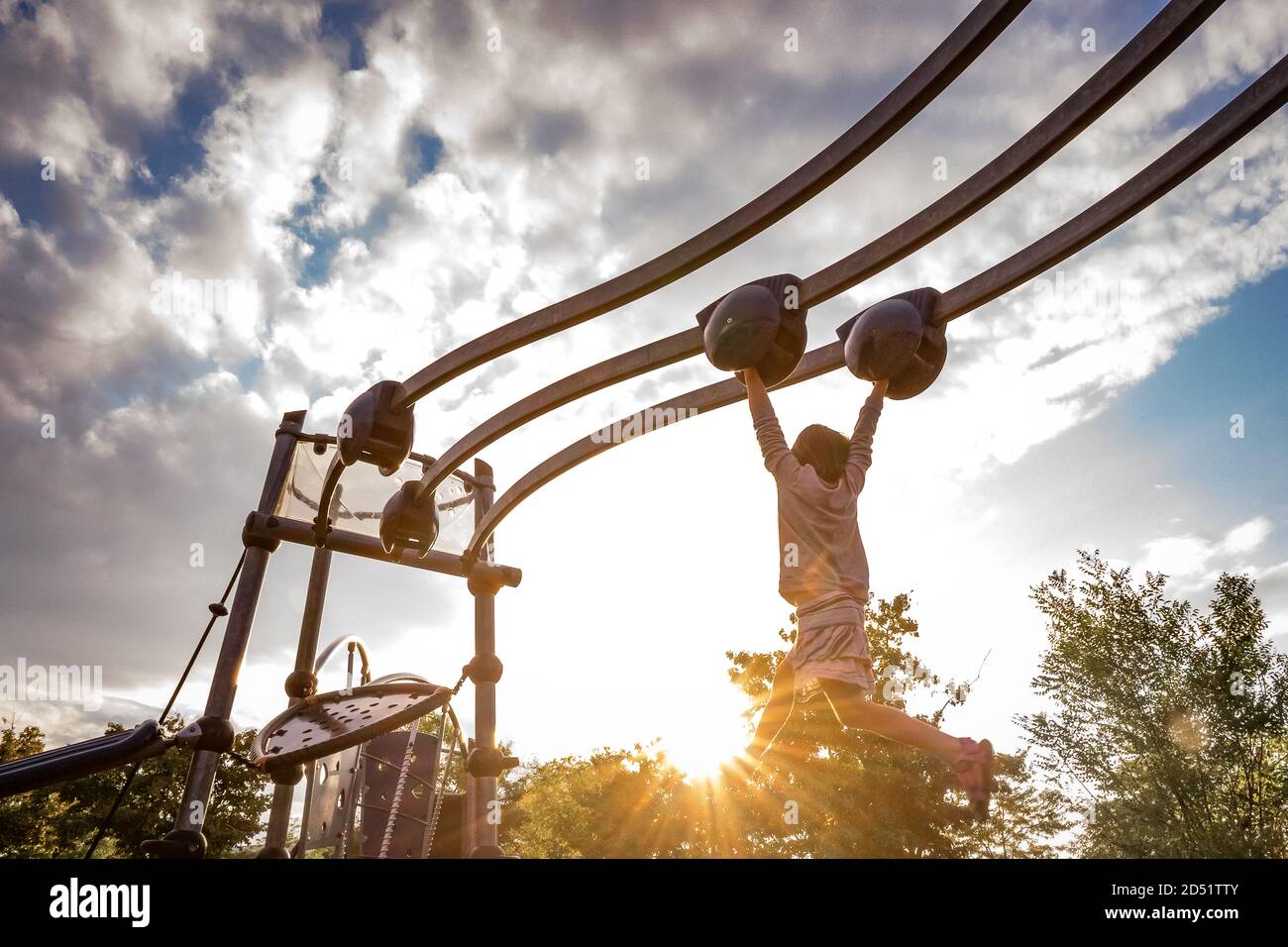 Moving Pictures Of Monkeys