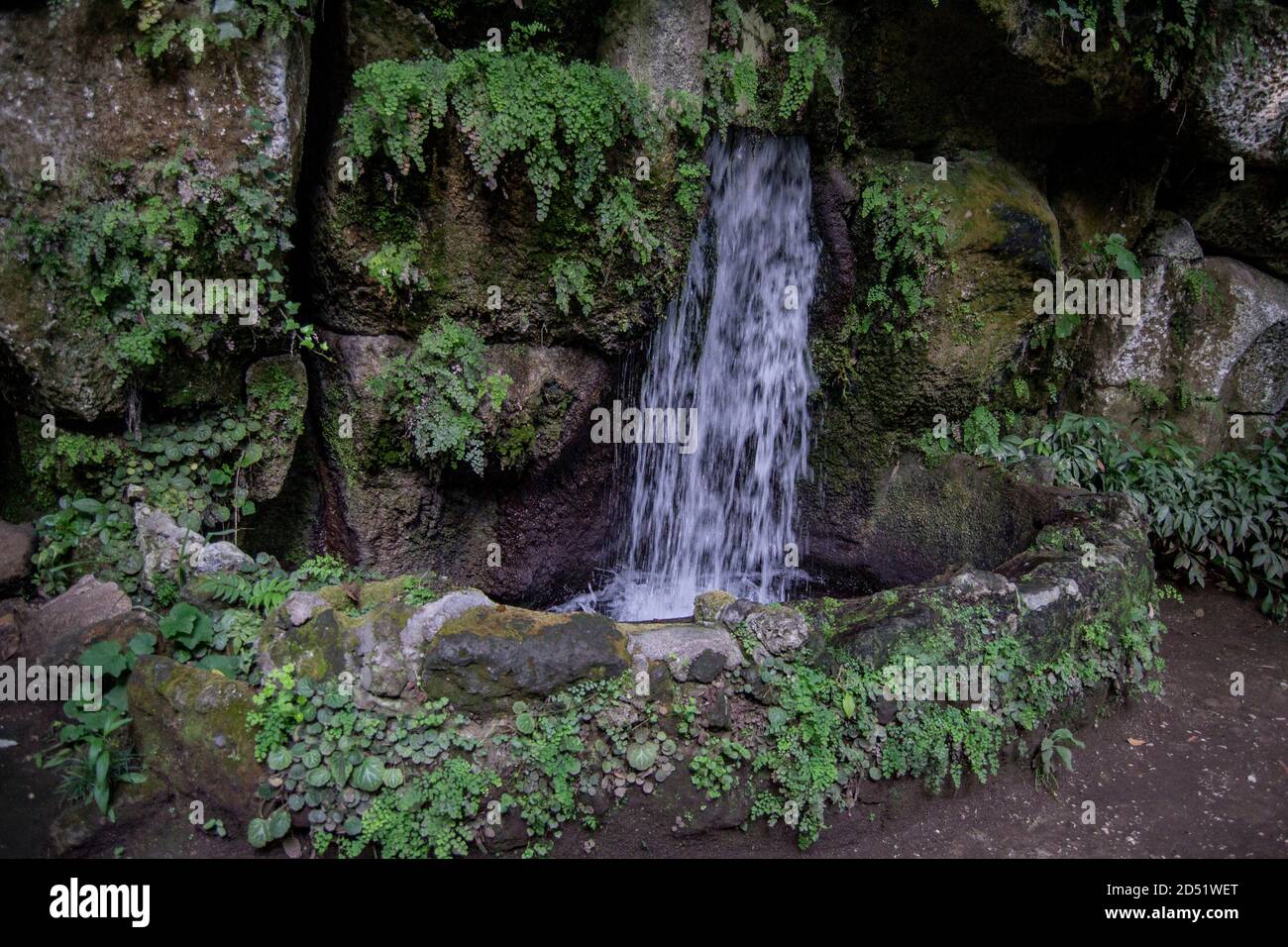 The evocative Venus Bath, a sort of oasis, named for the presence of a ...