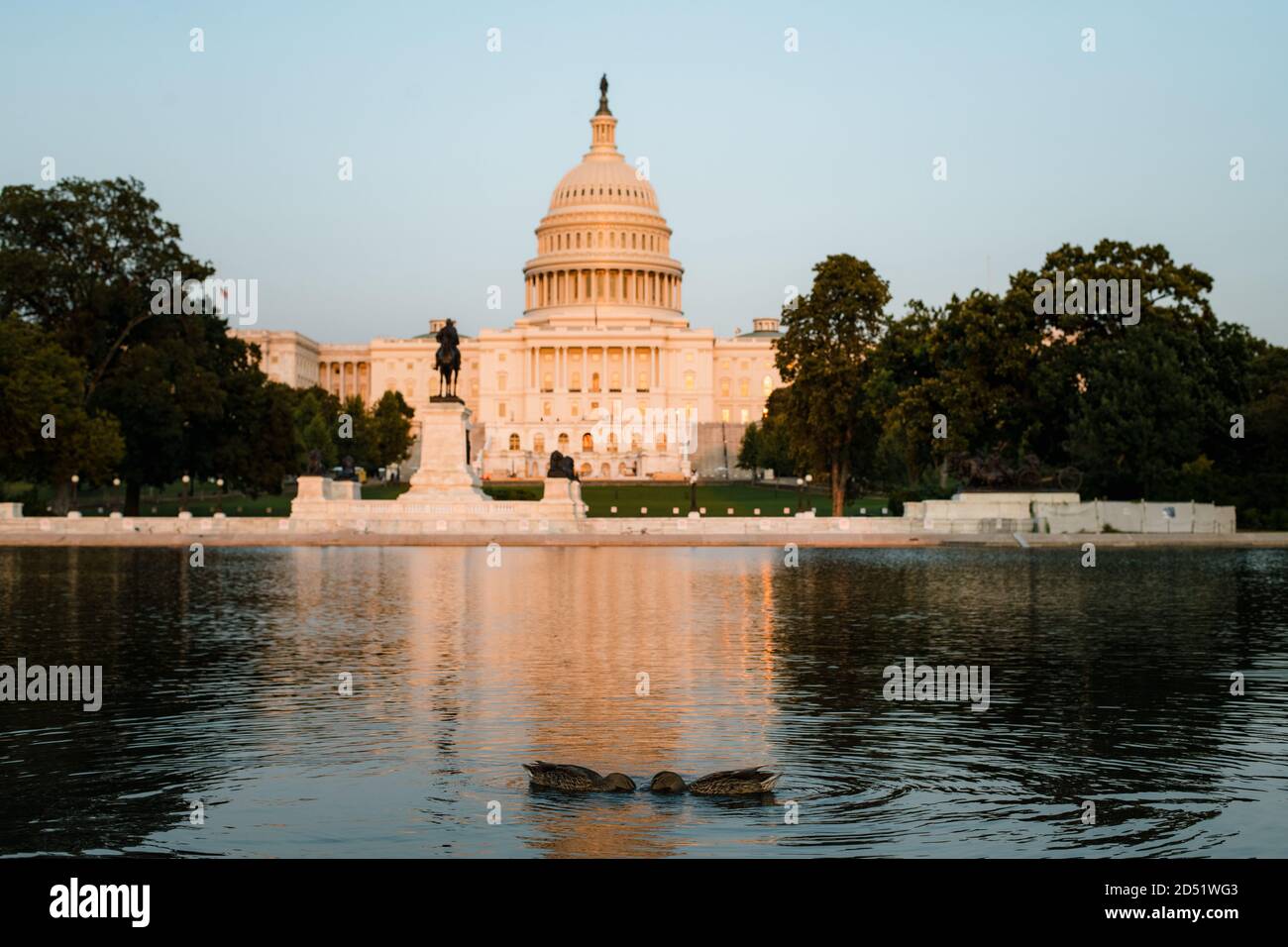 US Capitol view with reflecting pool and ducks Stock Photo - Alamy