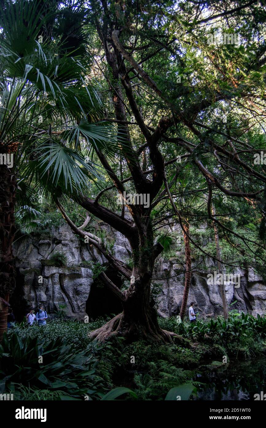 The evocative Venus Bath, a sort of oasis, named for the presence of a ...