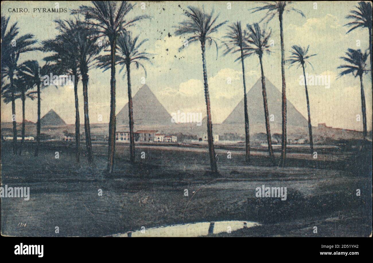 Kairo Ägypten, general view of the Pyramids and the palms | usage ...