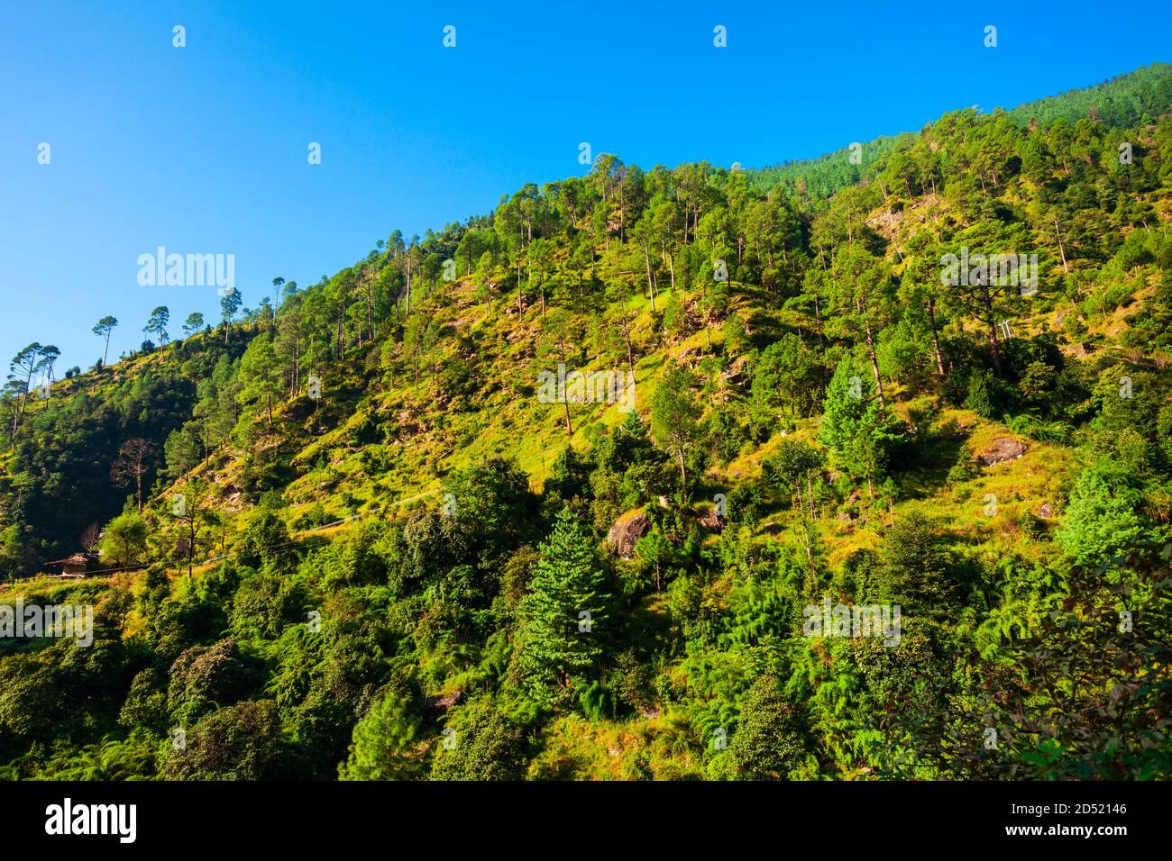 Scenic landscape panoramic view of the forested Himalaya mountains ...