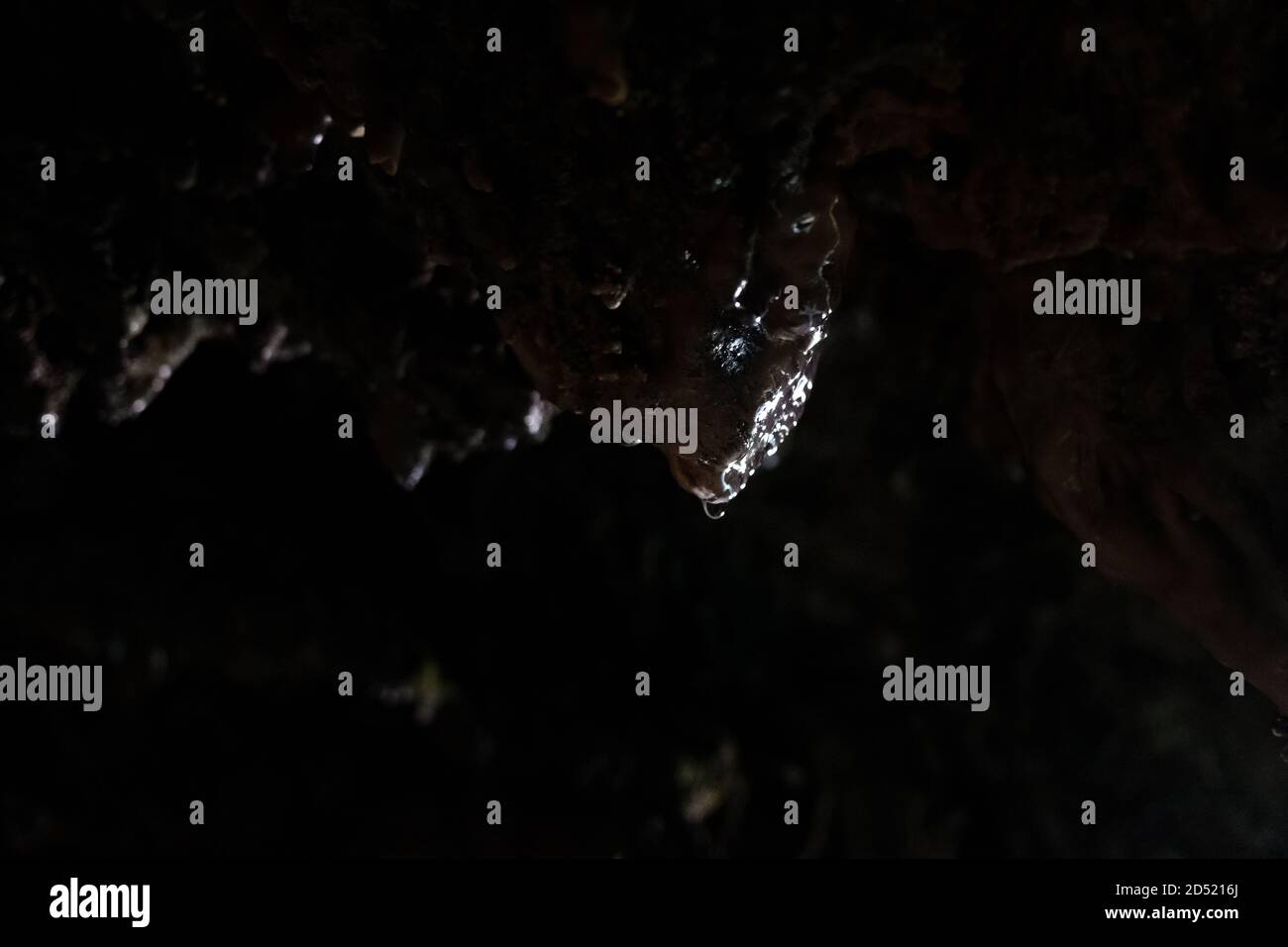 Drops of water inside a cave create stalactites Stock Photo - Alamy