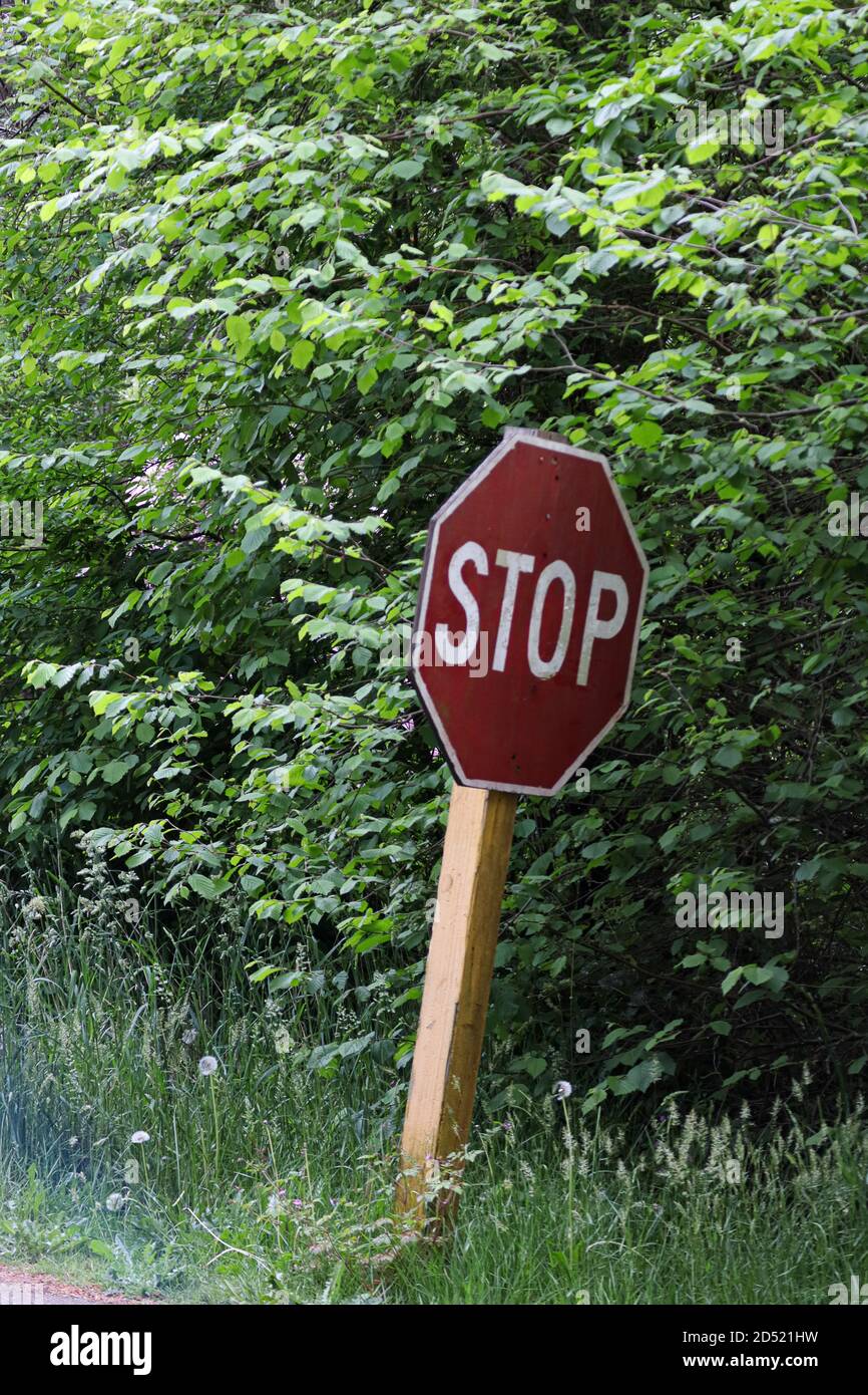 A stop sign on a wooden post leaning in the weeds Stock Photo - Alamy