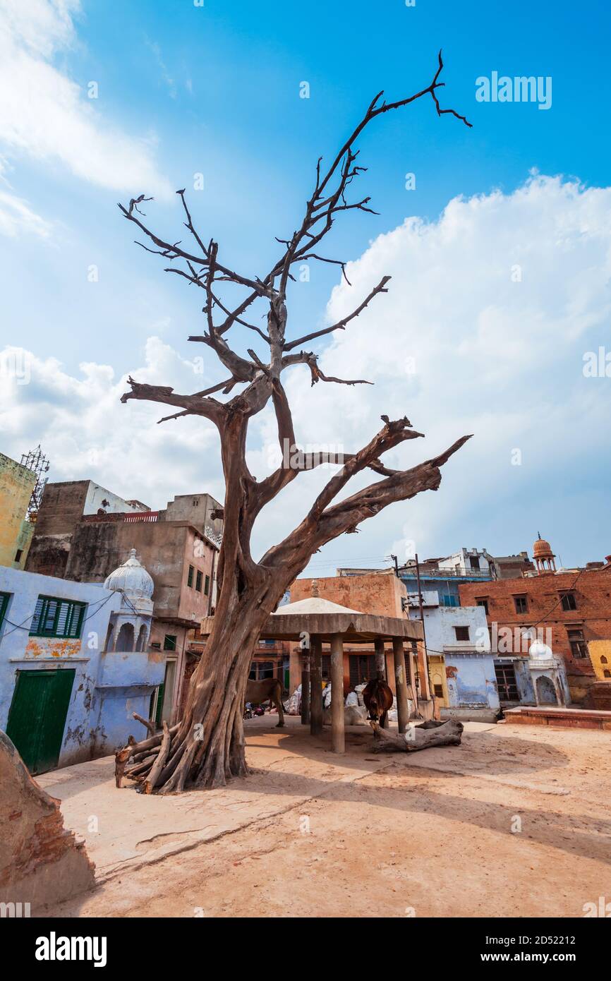 Krishna shri dwarkadhish temple hi-res stock photography and images - Alamy