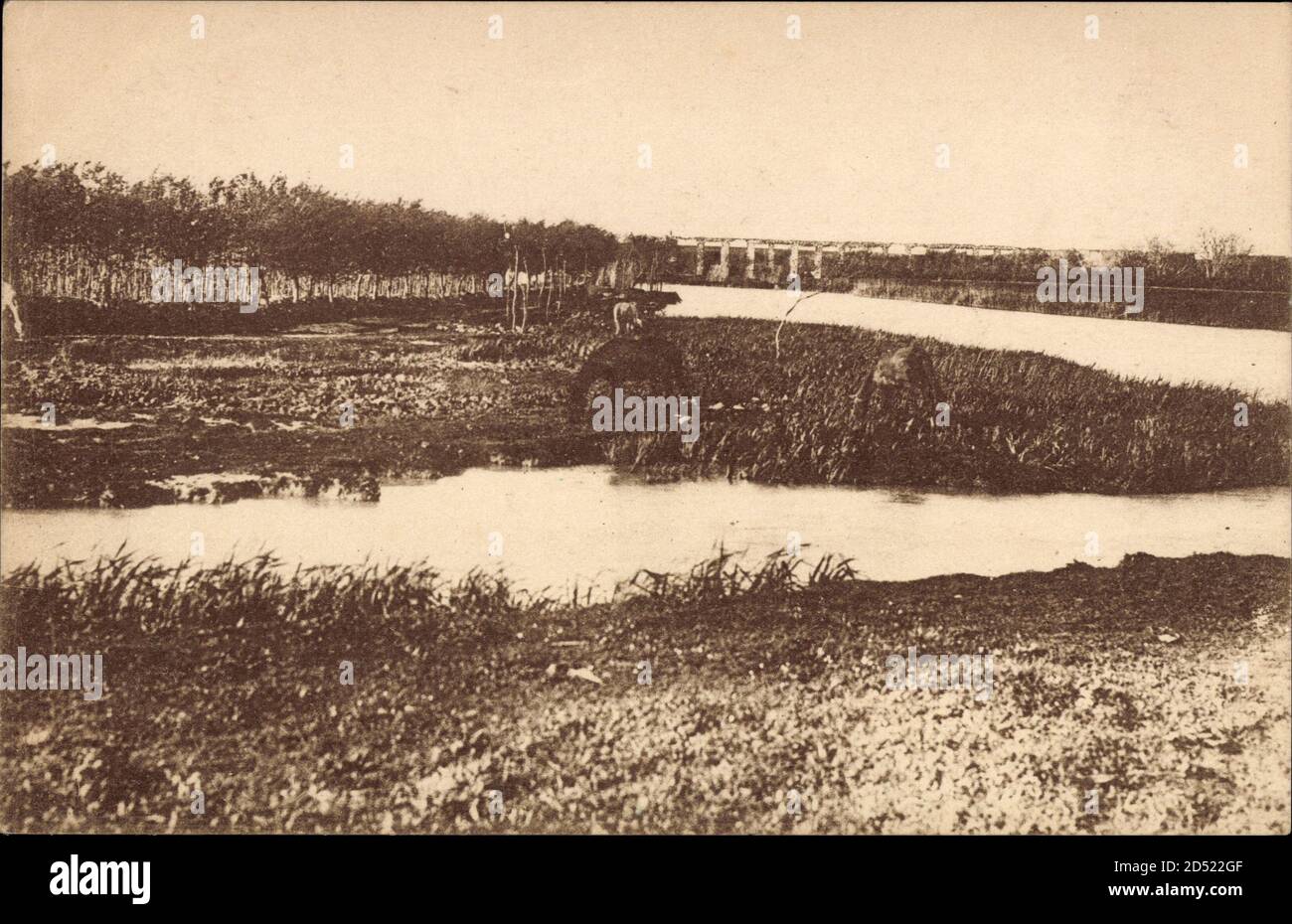 Homs Syrien, Vue de l'Oronte, Mimass, Flusspartie, Pferd | usage ...