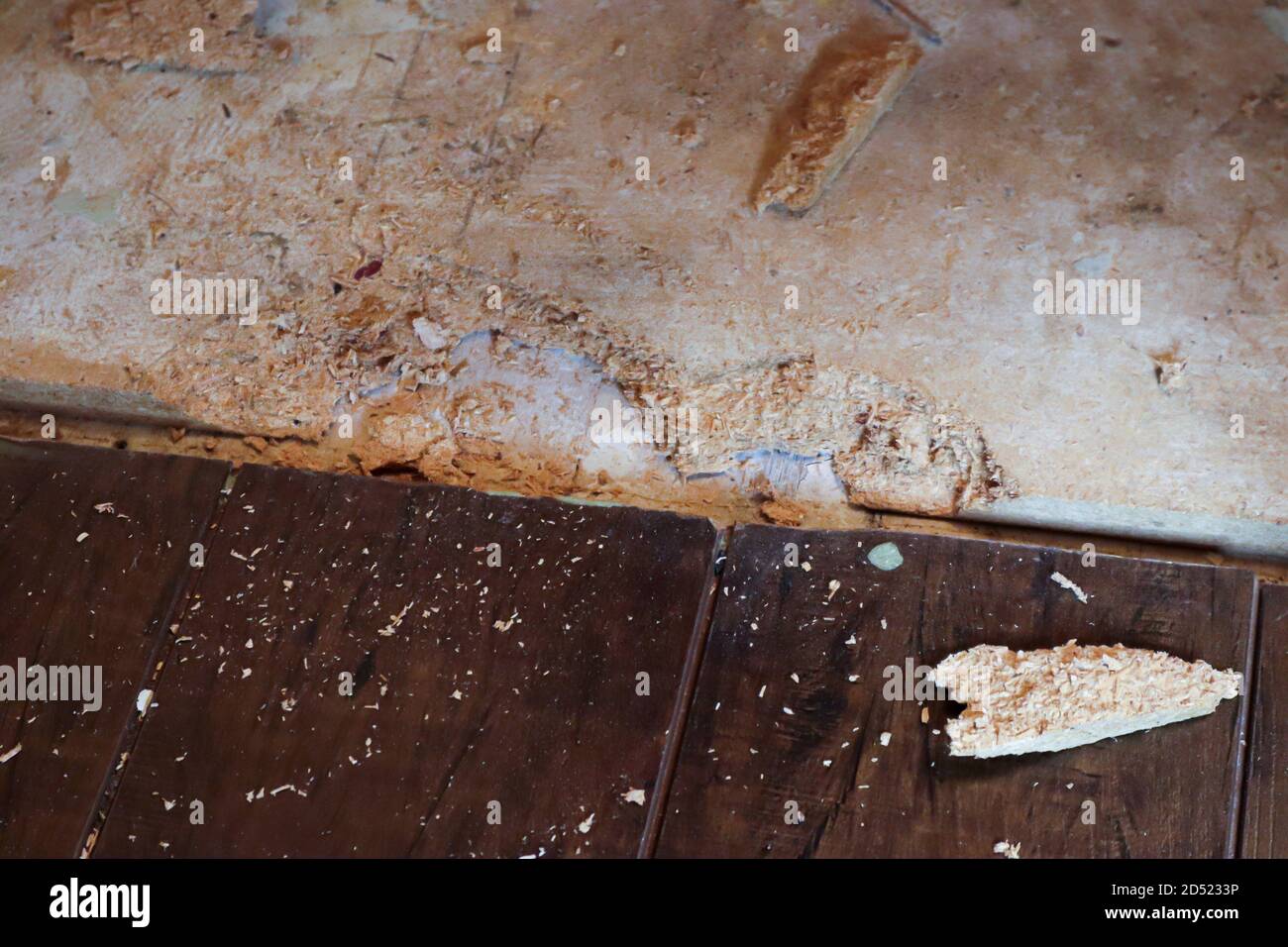 some crowbar chunks out of a subfloor board Stock Photo - Alamy
