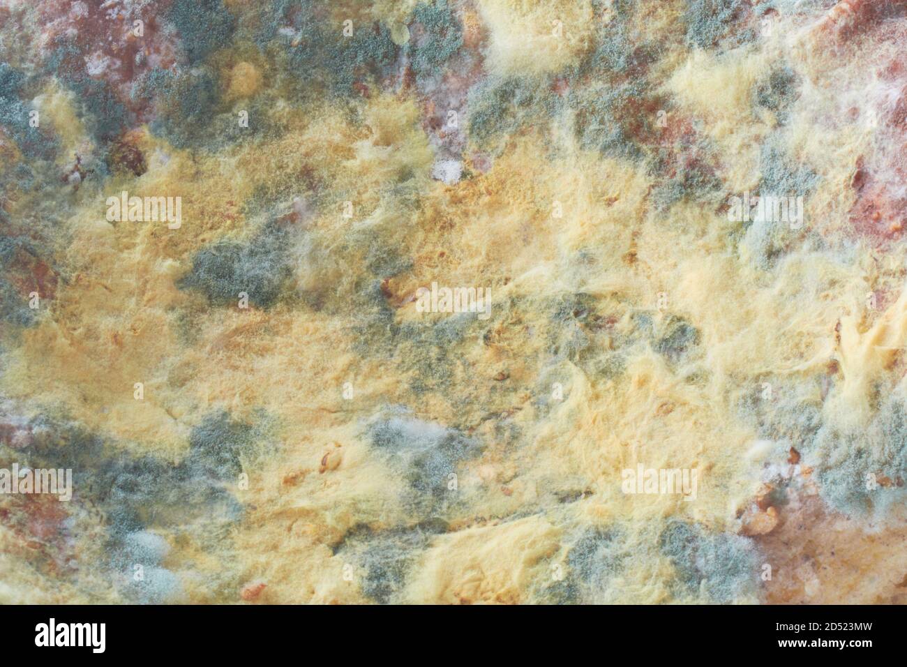 Food Mold fungus. Abstract background with copy space. Background of ...