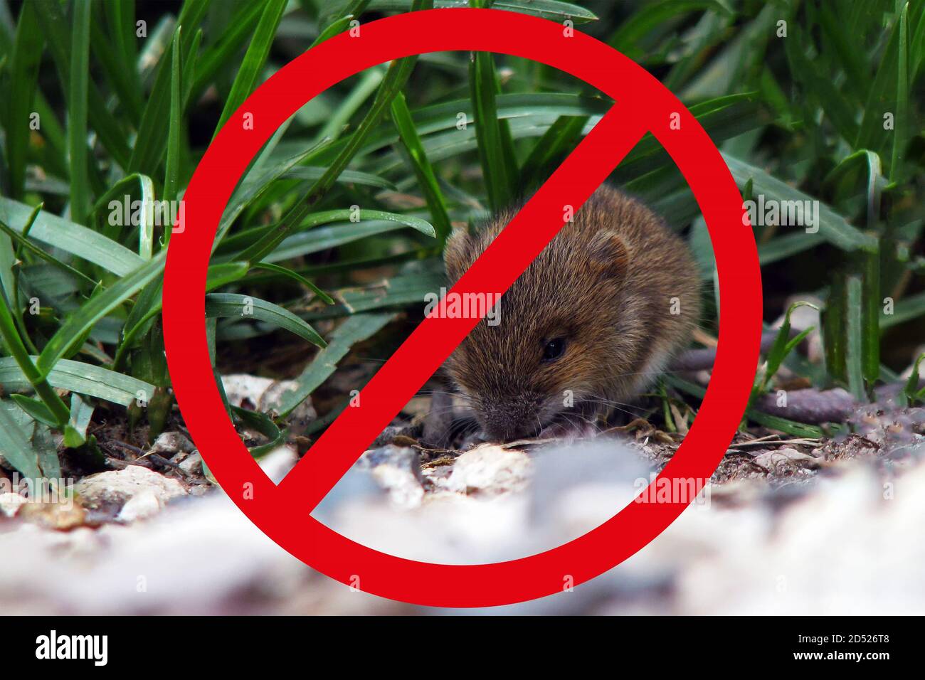 Rat poison warning sign hi-res stock photography and images - Alamy