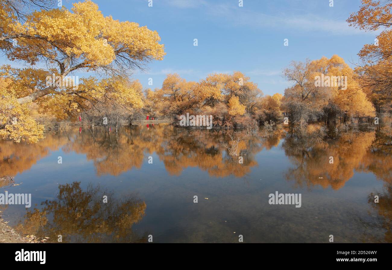 Jinta county hi-res stock photography and images - Alamy