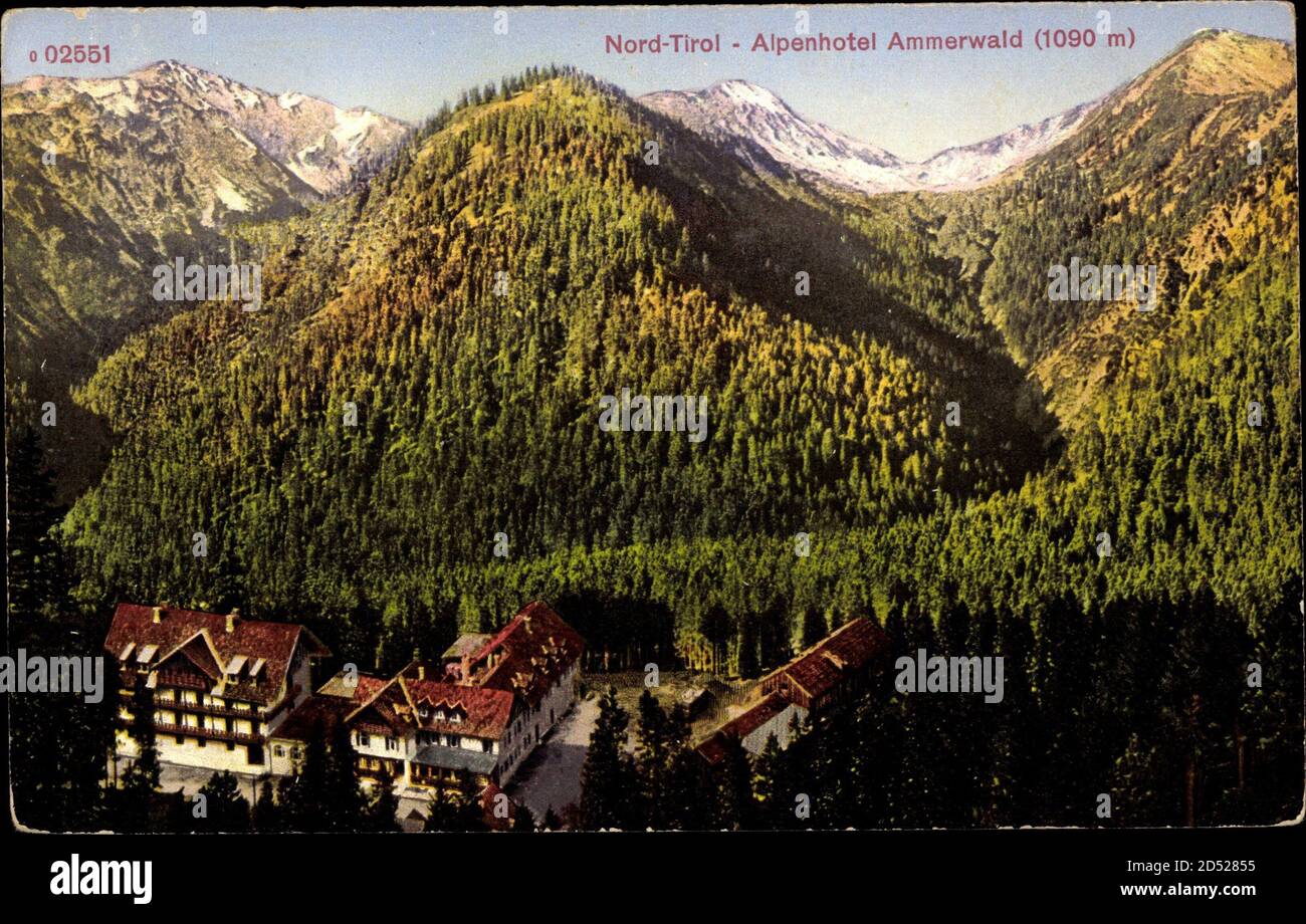 Tirol in Österreich, Blick auf das Alpenhotel Ammerwald, Wälder | usage ...