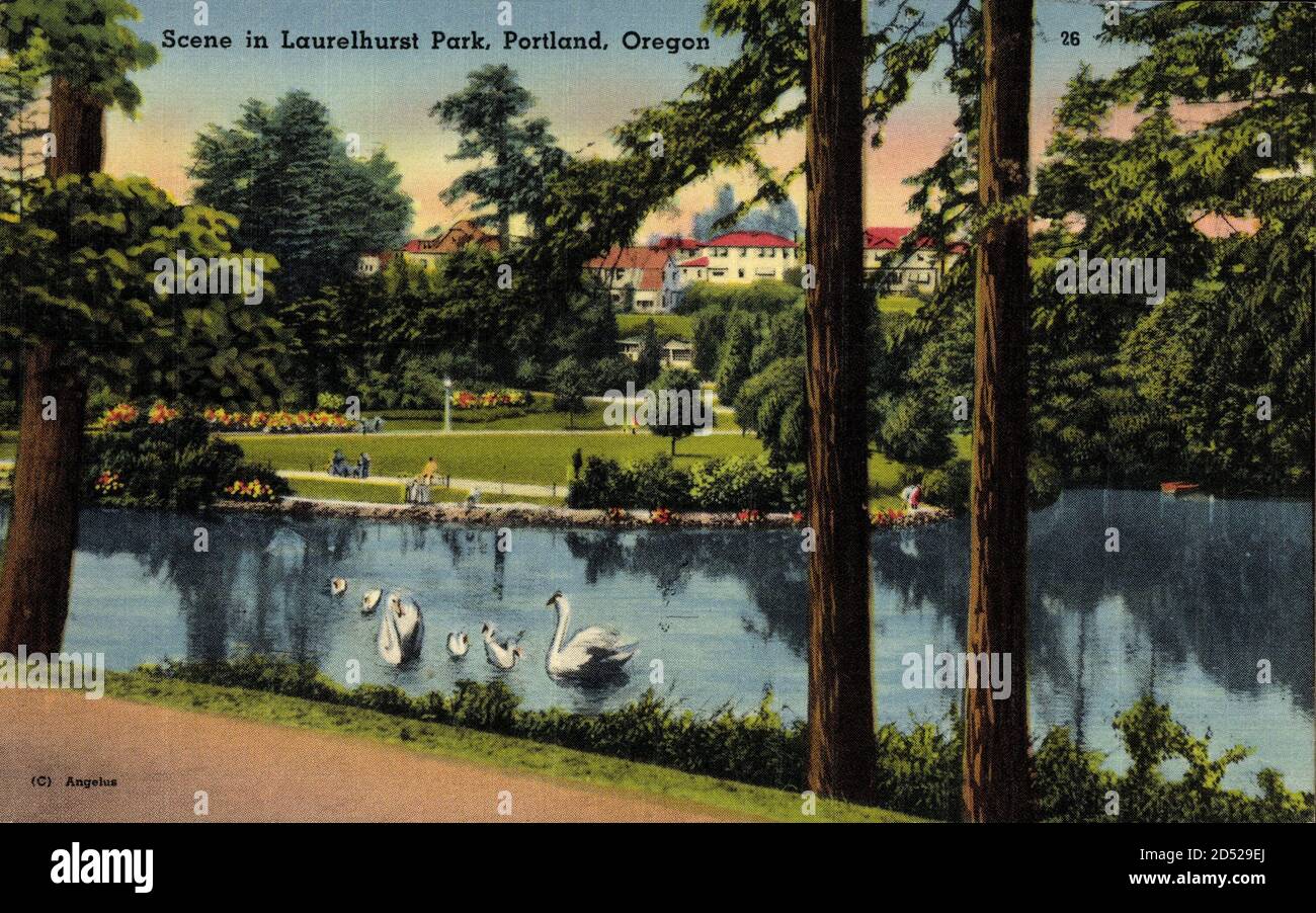 Portland Oregon USA, general view of the Laurelhurst Park | usage ...