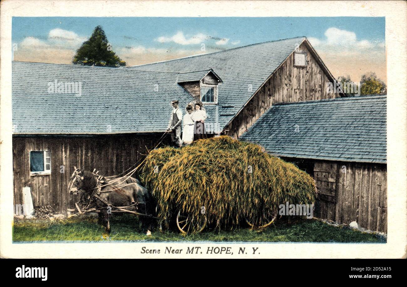 Mount Hope New York USA, Scene at the farm, Horses | usage worldwide ...
