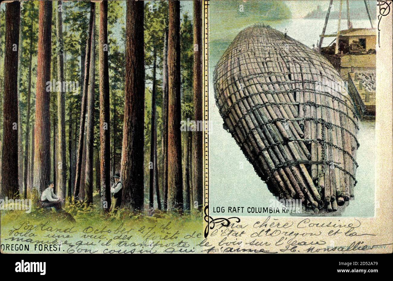 Oregon USA, Oregon Forest, Log Raft Columbia River | usage worldwide ...