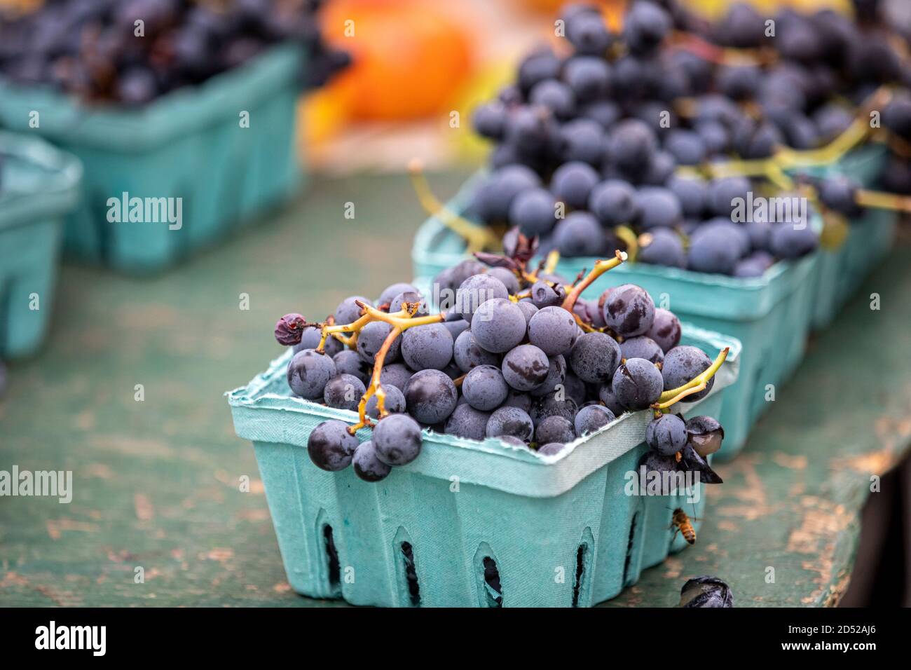 Blueberry on display at a farmers market Stock Photo - Alamy