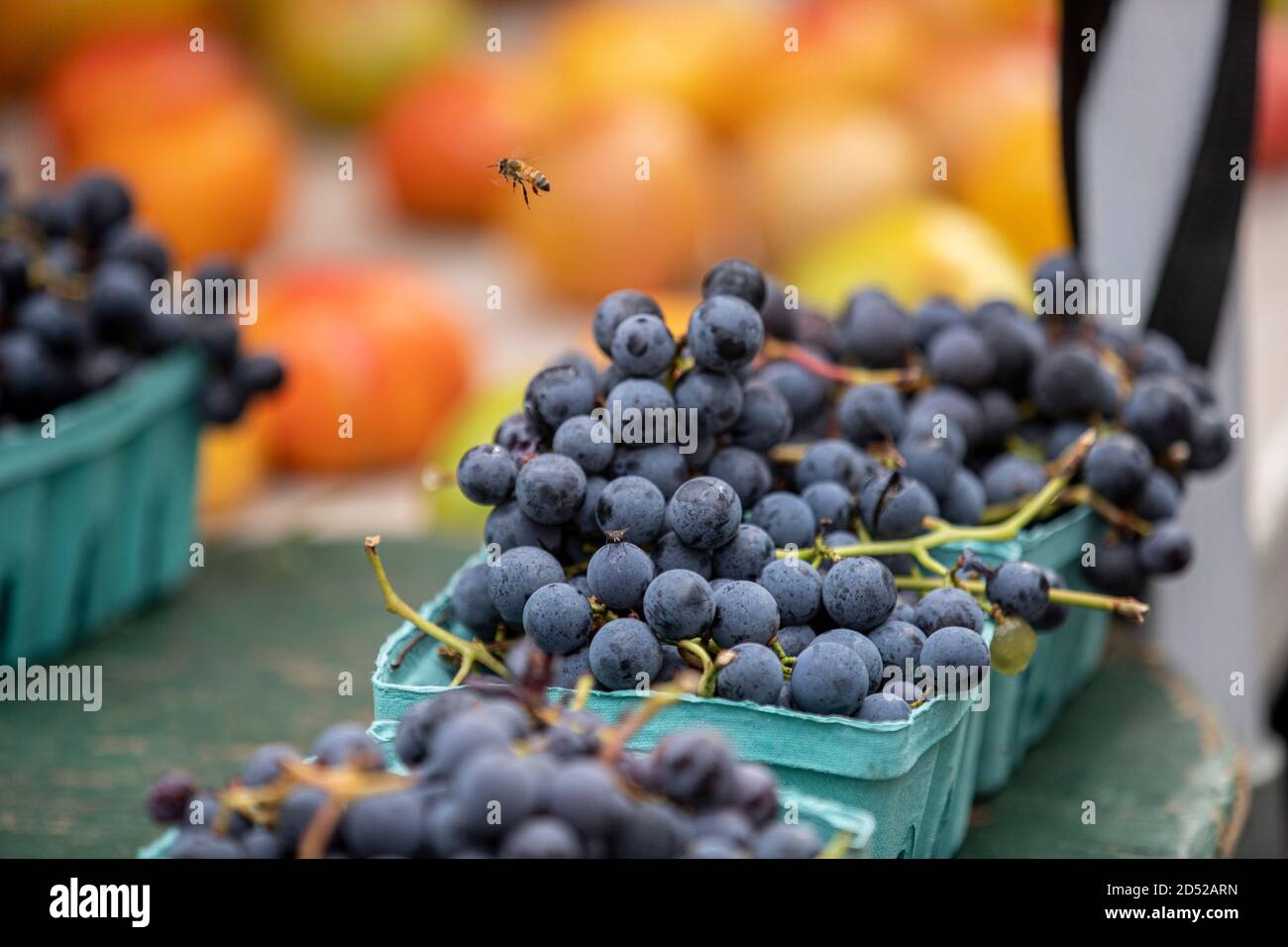 Blueberry on display at a farmers market Stock Photo - Alamy