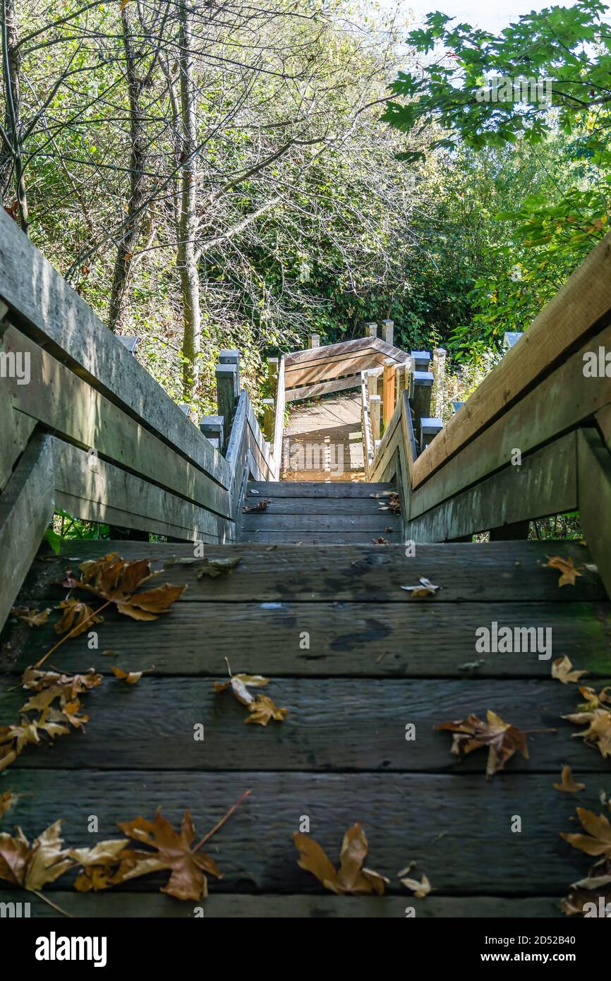 Steep Wooden Stairs High Resolution Stock Photography and Images - Alamy