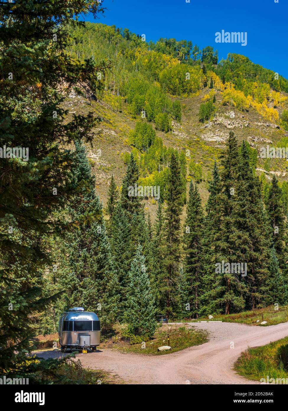 Autumn color, Cayton Campground, San Juan National Forest, Colorado ...