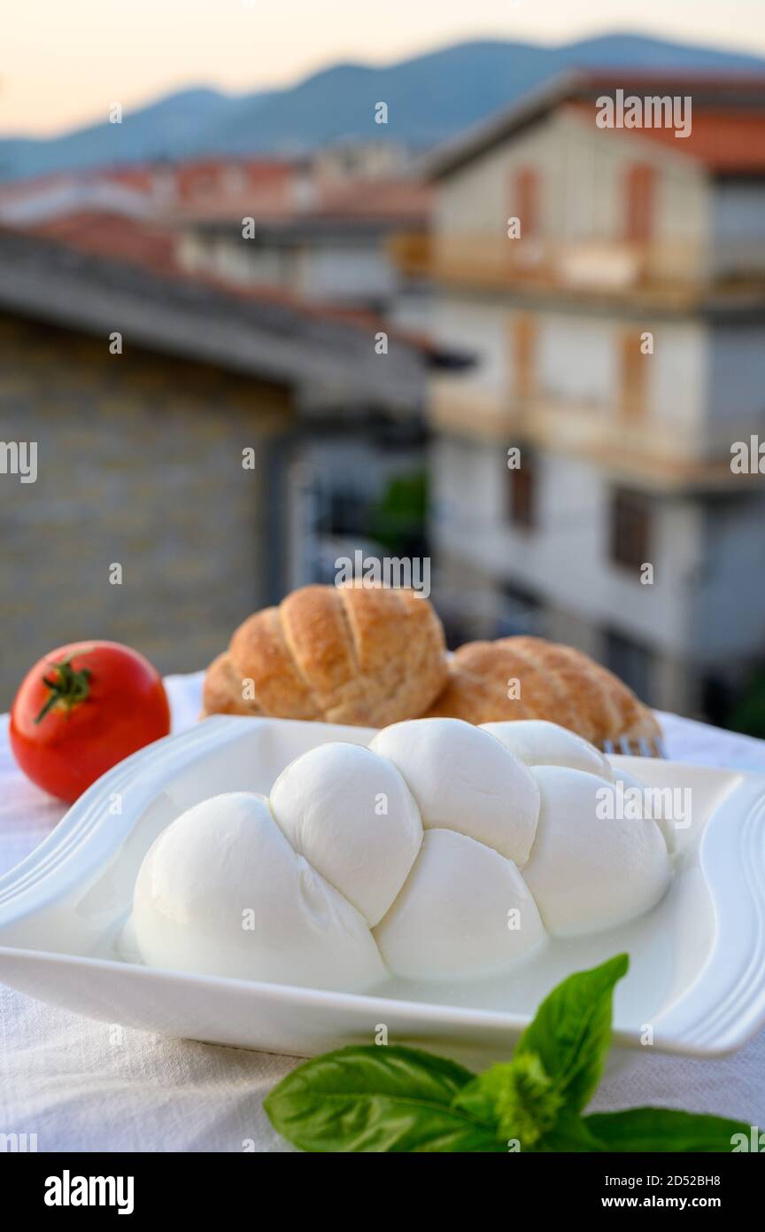 Fresh soft white italian cheese braid mozzarella buffalo made from ...