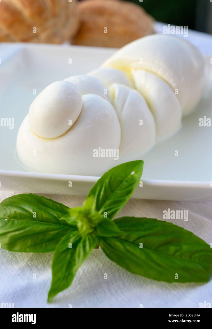 Fresh soft white italian cheese braid mozzarella buffalo made from ...