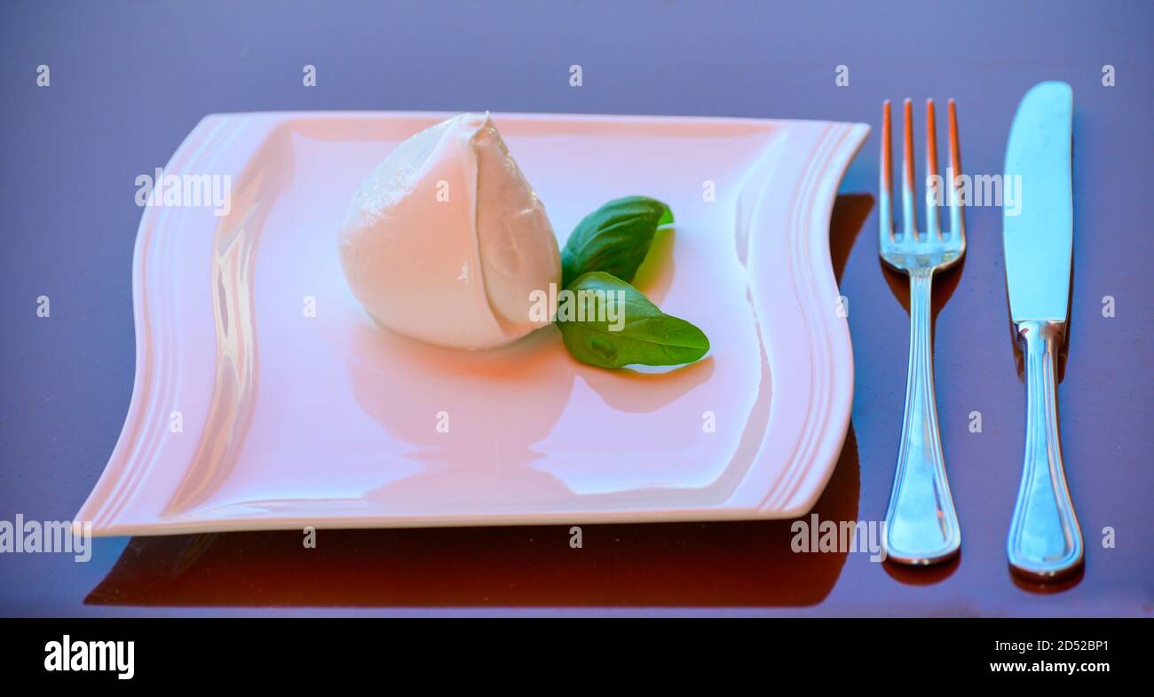 Fresh soft white italian cheese mozzarella buffalo made from Italian ...