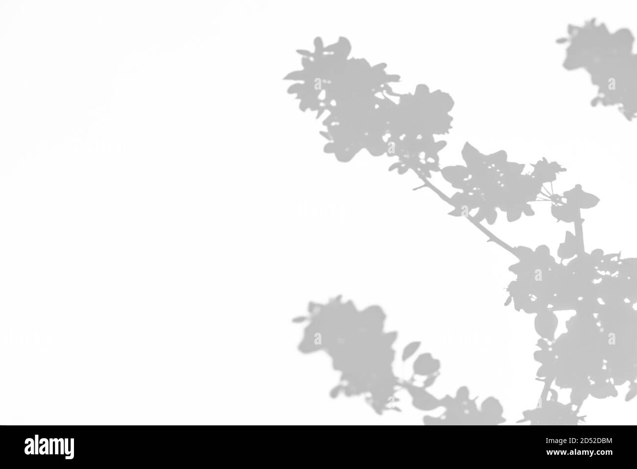 Artistic apple tree hi-res stock photography and images - Alamy