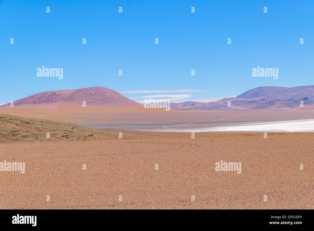Beautiful puna andean landscape at brava lagoon reserve, la rioja ...