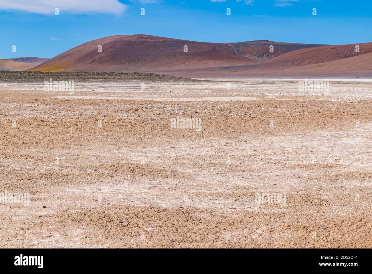 Beautiful puna andean landscape at brava lagoon reserve, la rioja ...