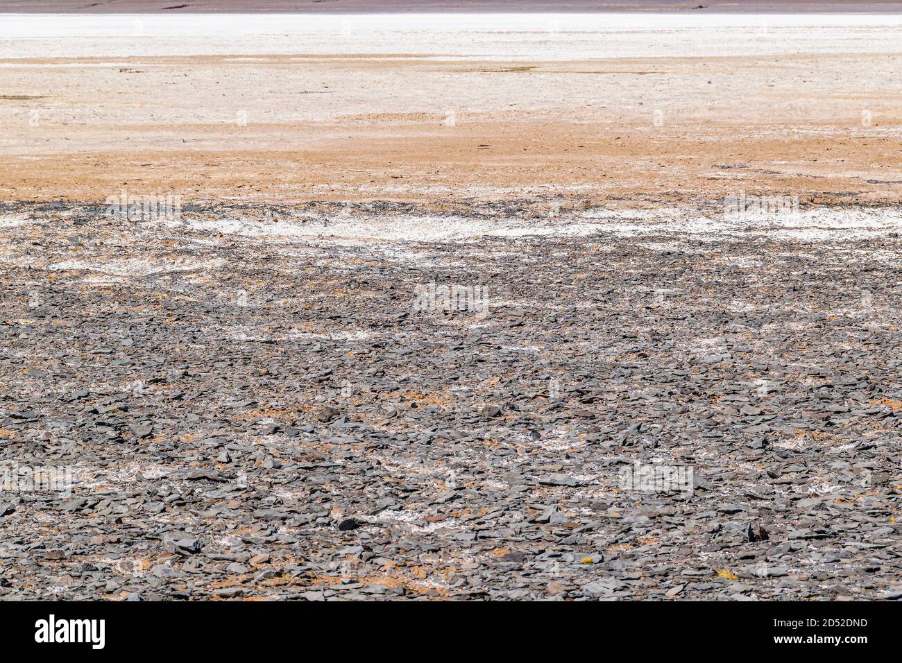 Beautiful puna andean landscape at brava lagoon reserve, la rioja ...
