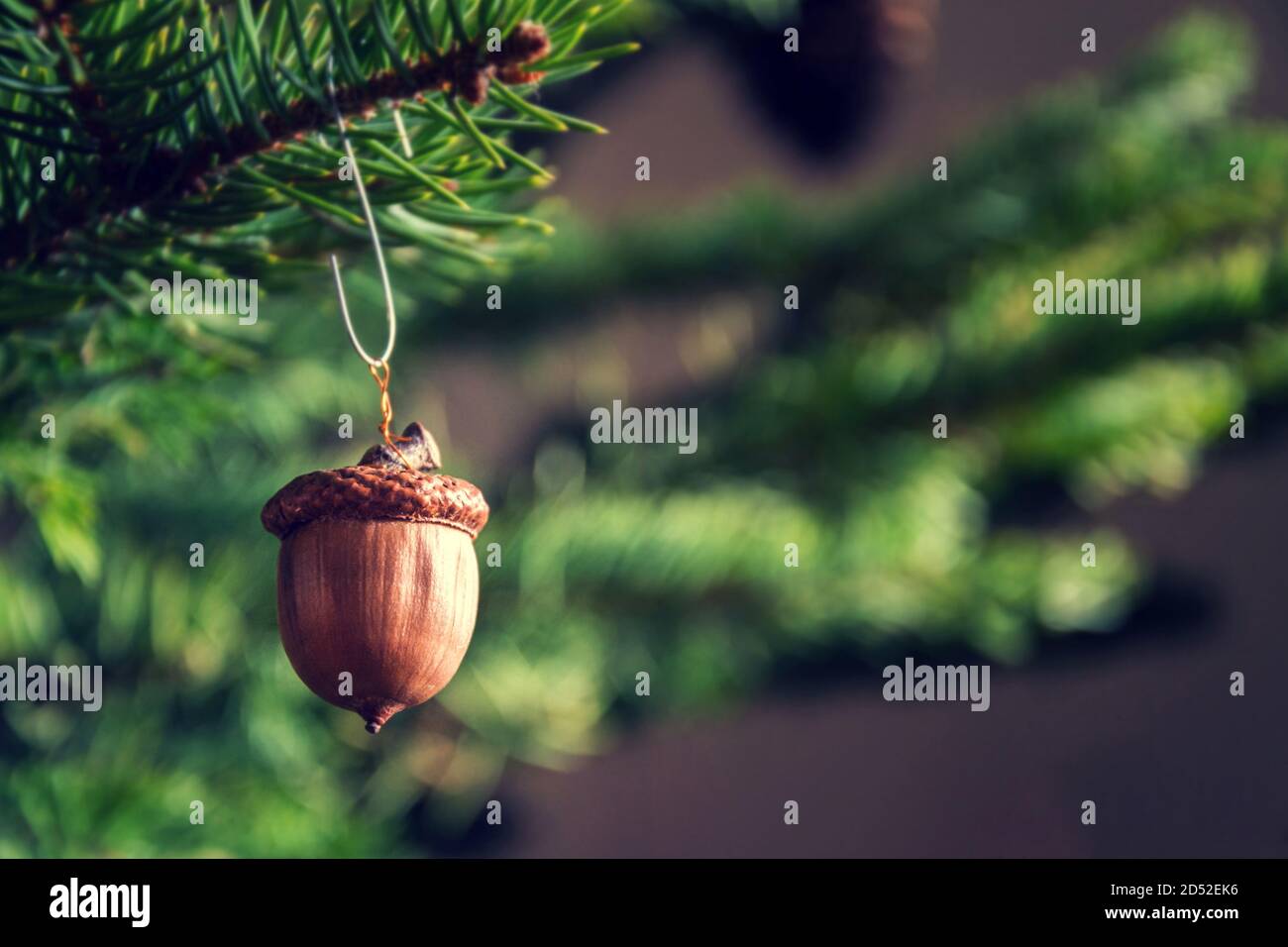 Natural Christmas decoration made from brown acorn hanging on green ...