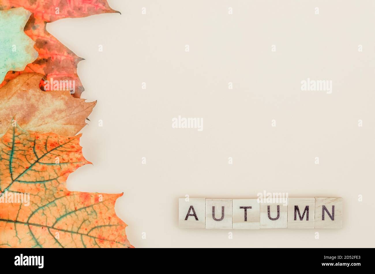 Maple leaves, word Autumn on wooden squares on a white background with ...