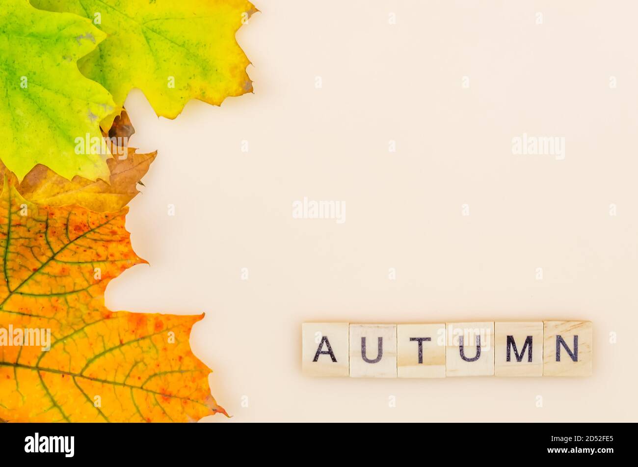 Maple leaves, word Autumn on wooden squares on a white background with ...