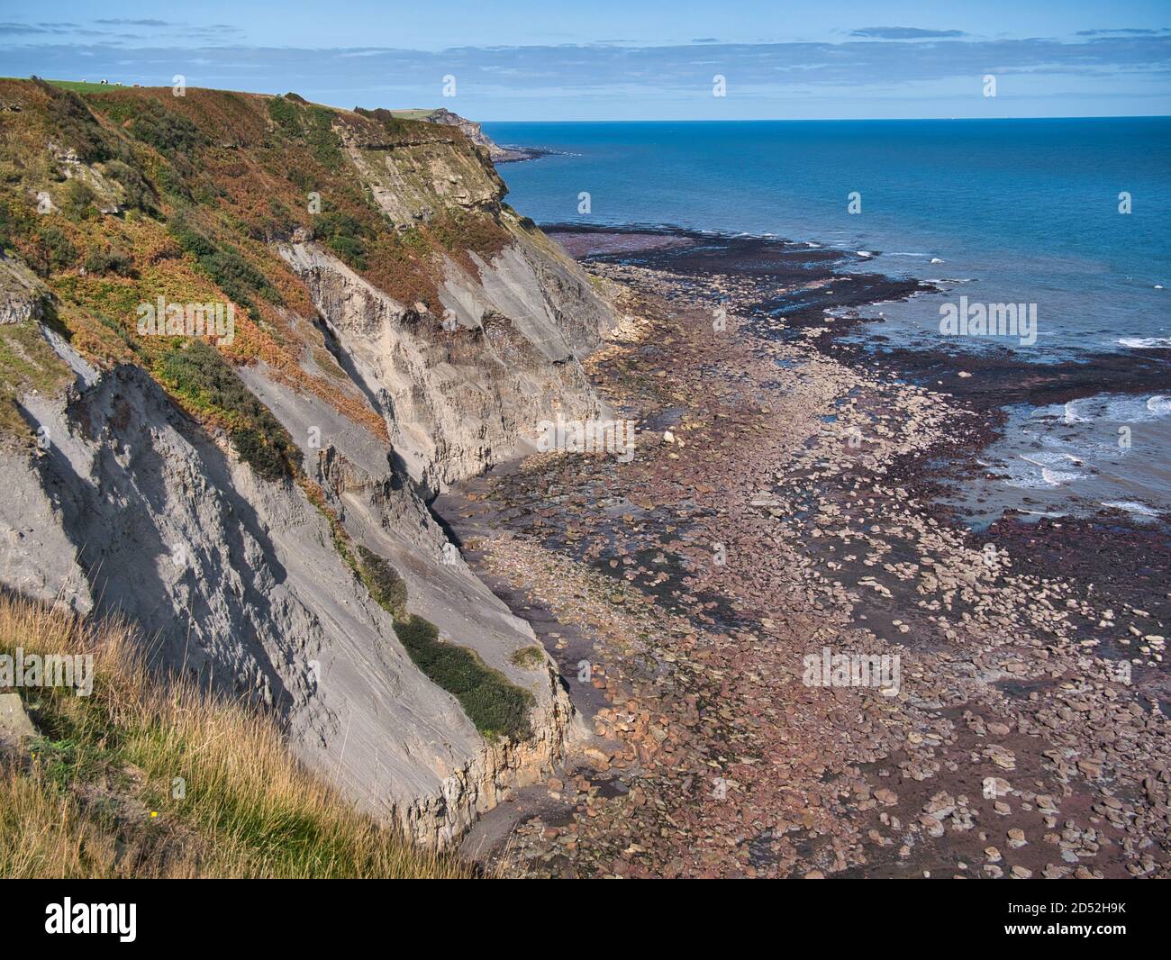 North of Robin Hood's Bay in Yorkshire, UK, low tide reveals the ...