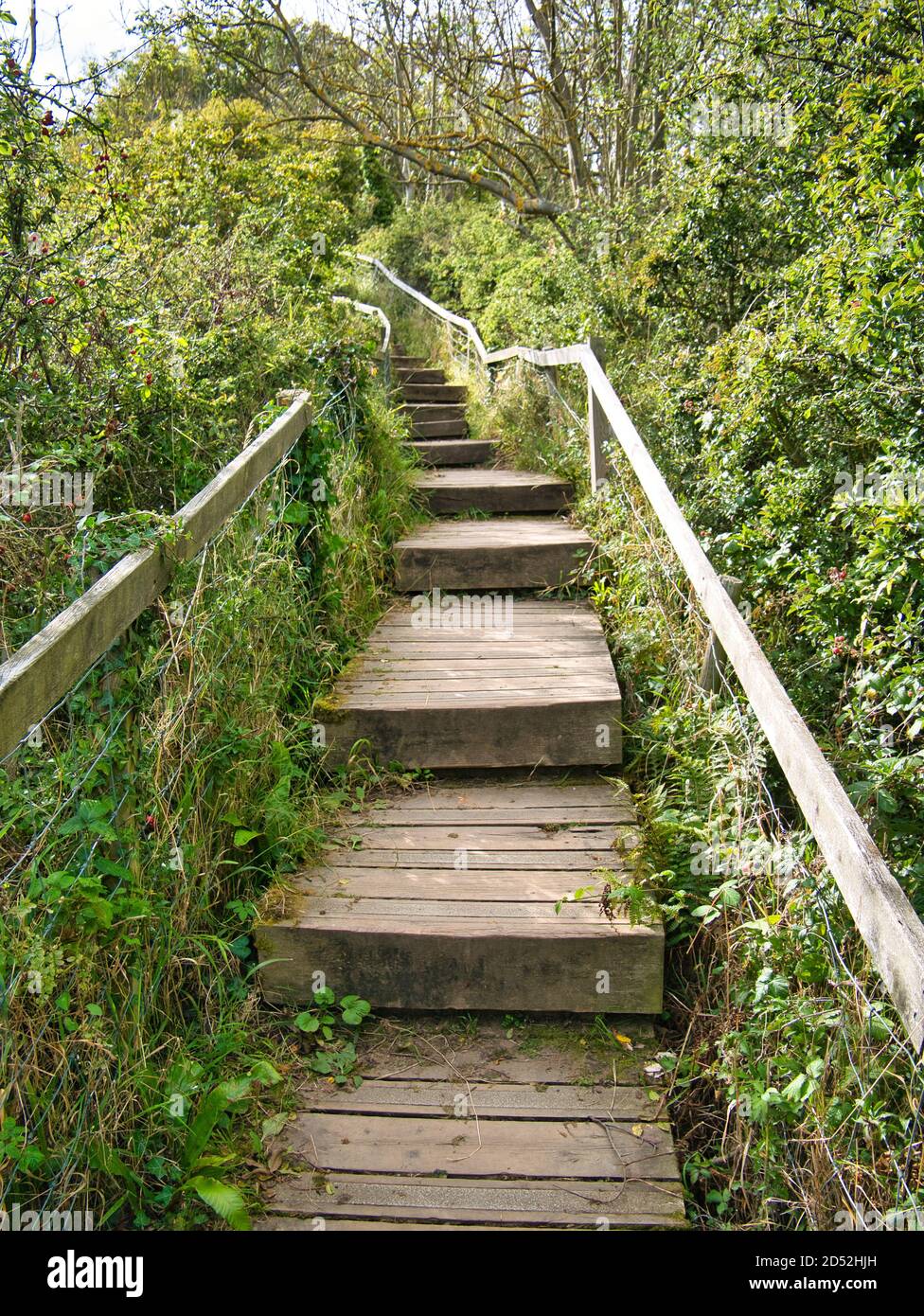Near Ravenscar on the Cleveland Way National Trail, wooden steps take ...