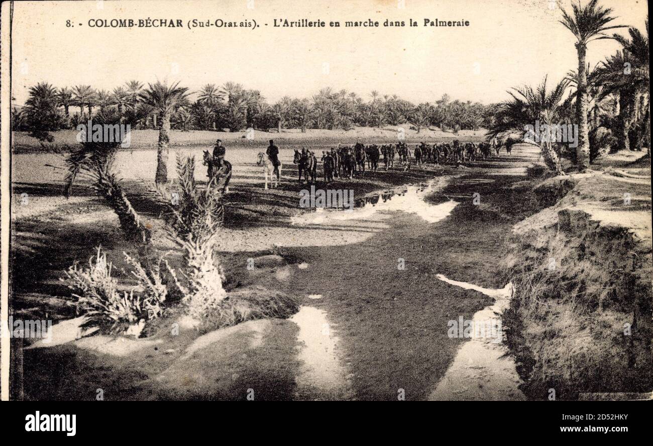 Colomb Bechar Algerien, Marsch der Artillerie durch einen Palmenhain ...