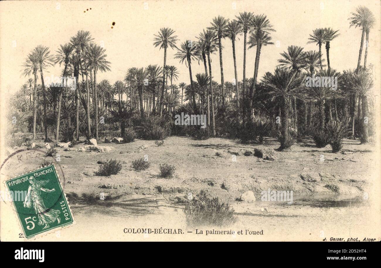 Colomb Bechar Algerien, Blick zu einem Palmenhain | usage worldwide ...
