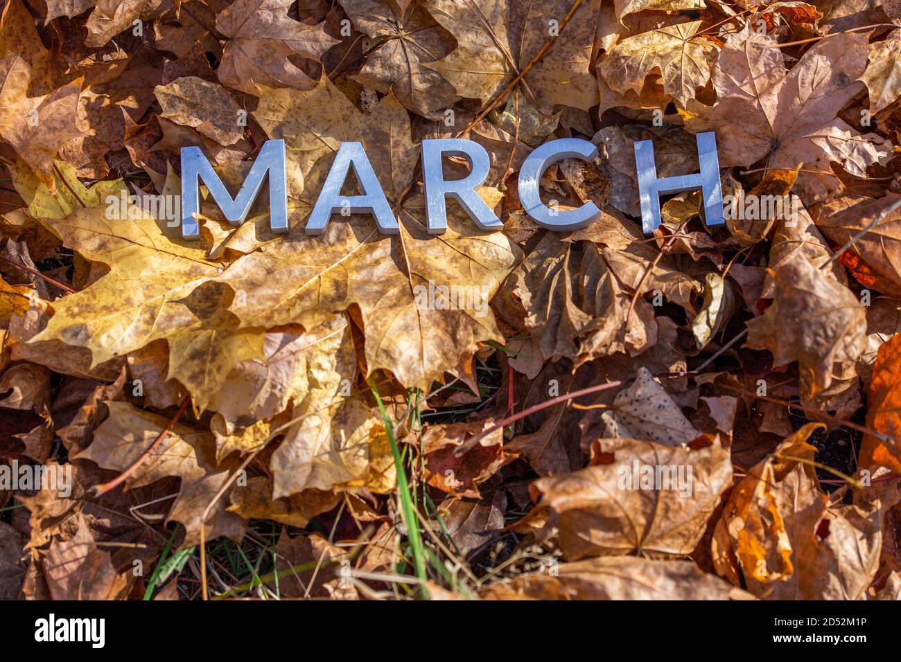 March word hi-res stock photography and images - Alamy
