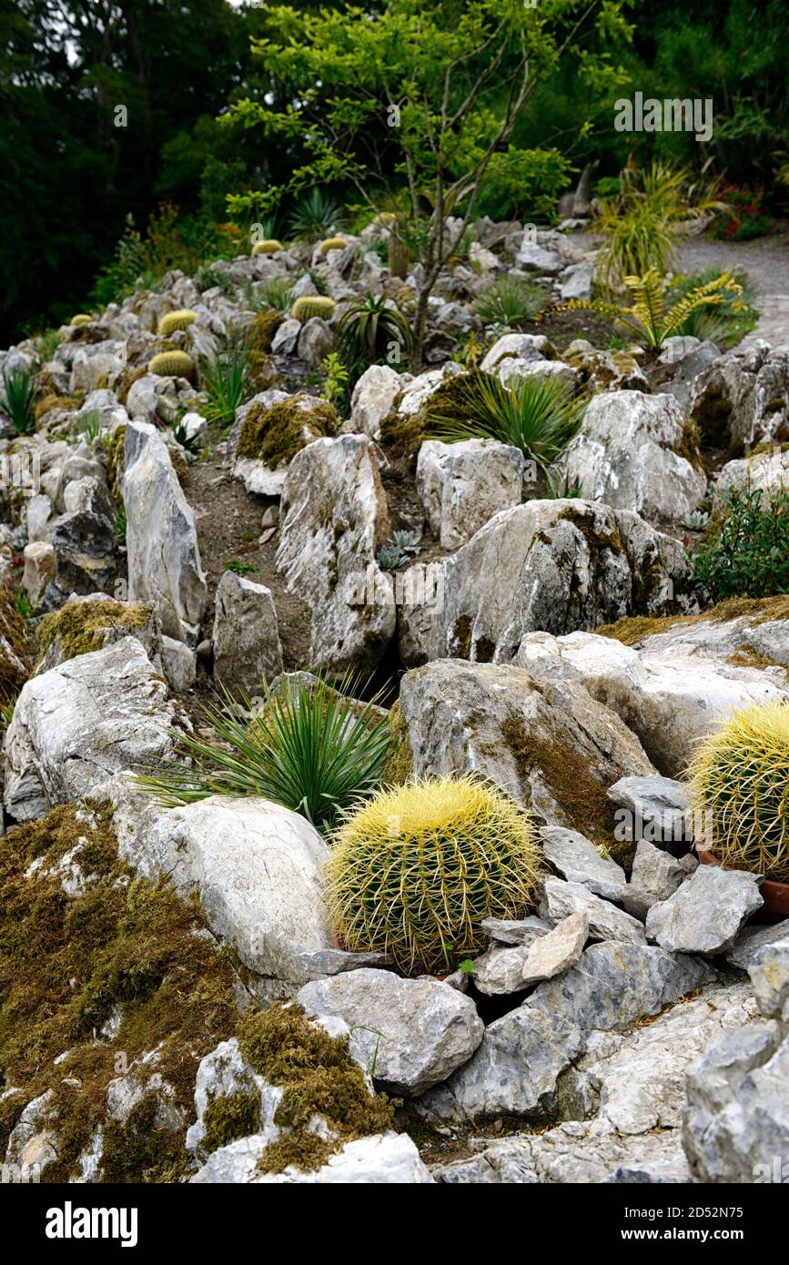 rockery,cactus,cacti,dry planting,unusual rockery,blarney castle ...