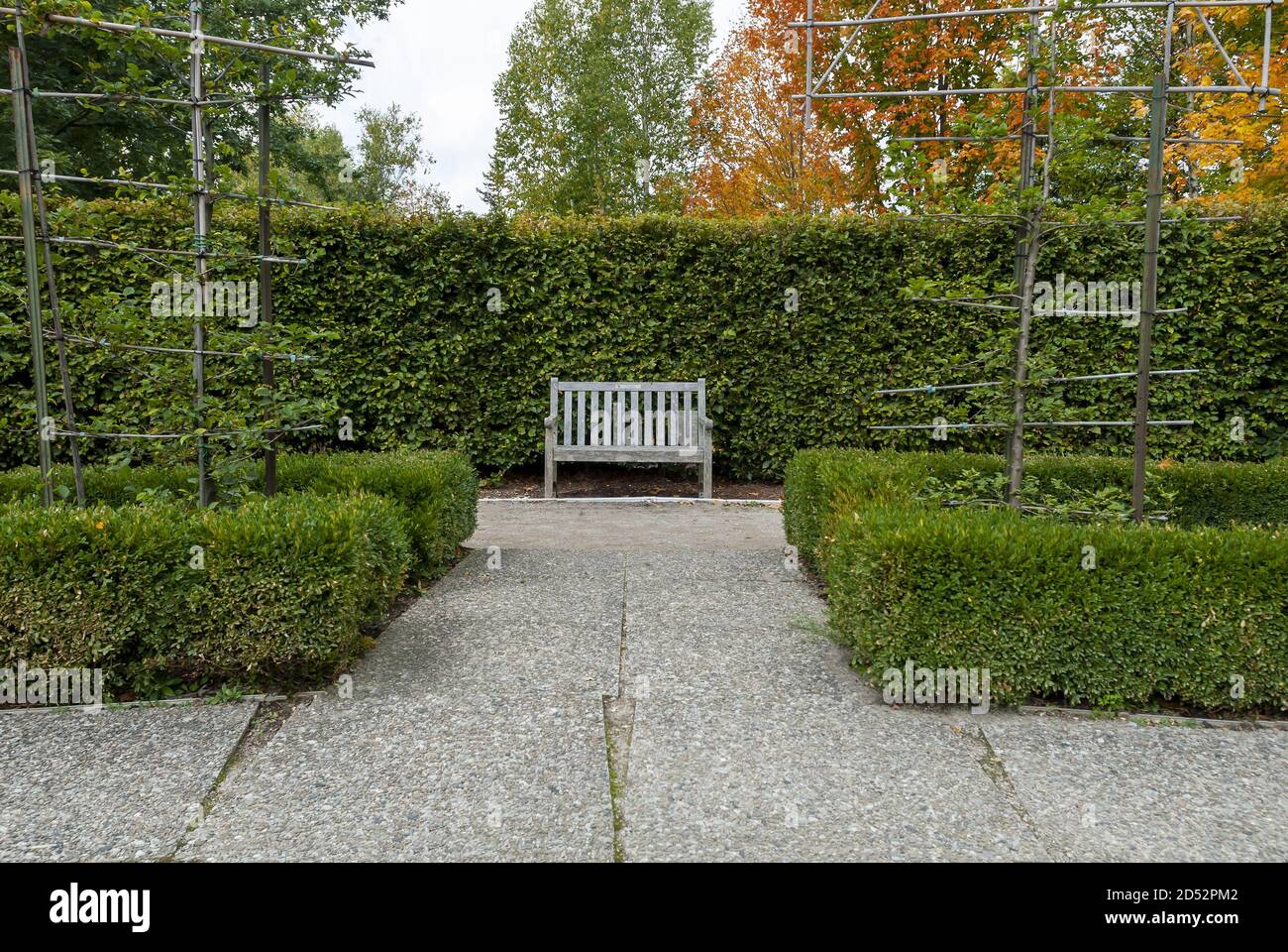 Bench in a park with decorative shrubs and trees Stock Photo - Alamy
