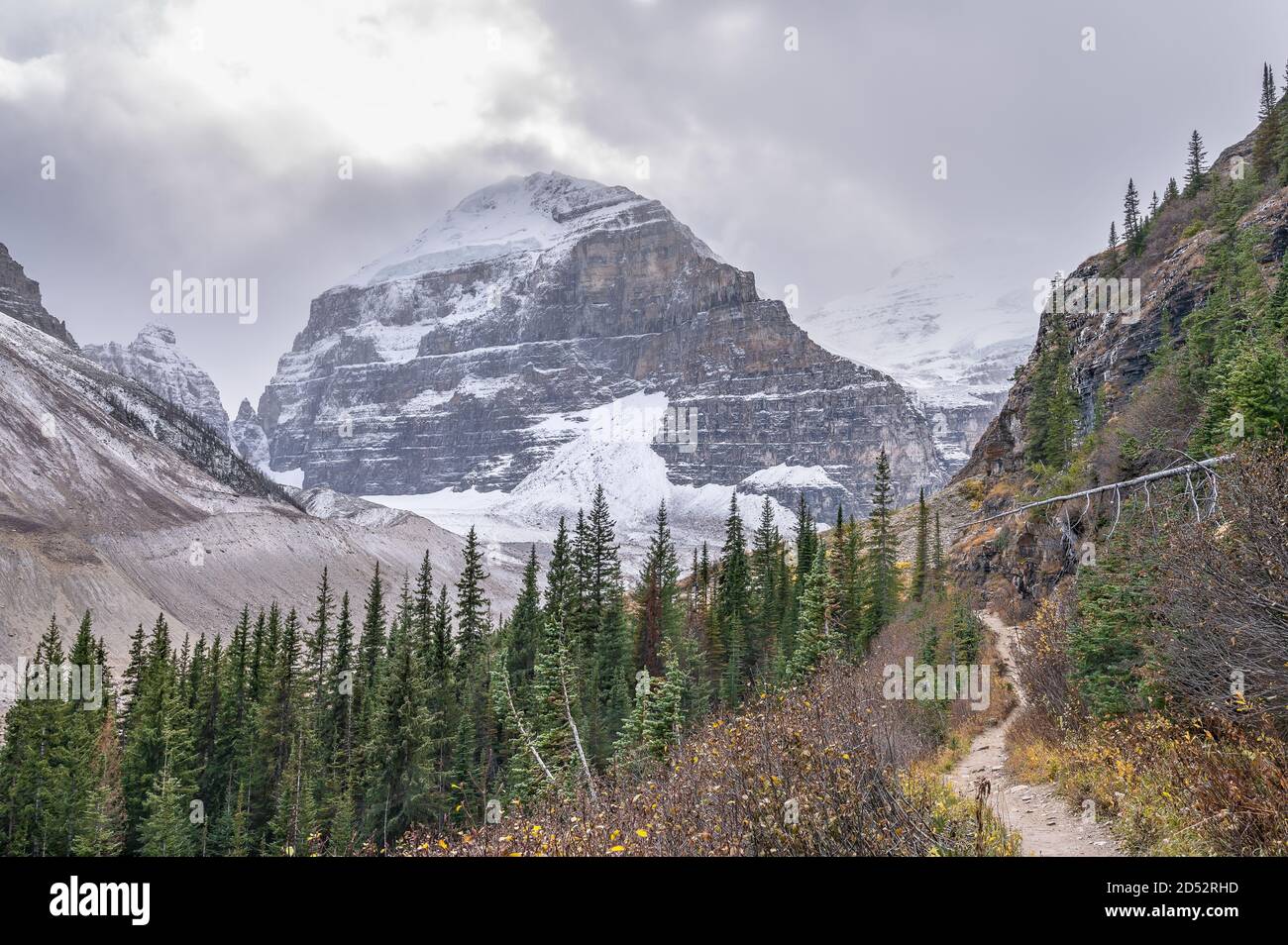 Hiking trail at Lake Louise Plain of Six Glaciers with Mount Lefroy and ...