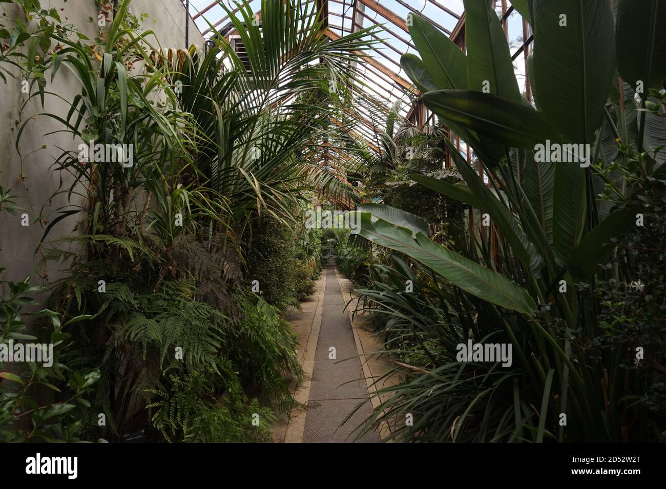 Cambridge botanic gardens summer hi-res stock photography and images ...
